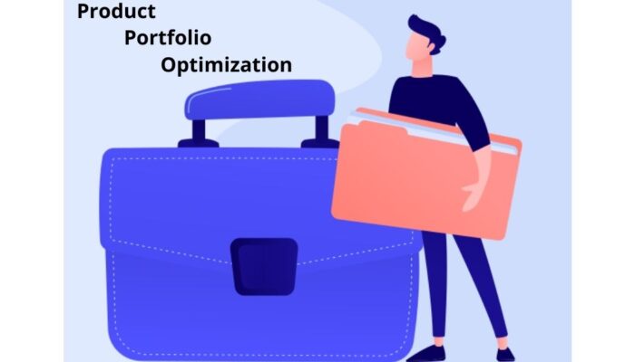 Product Portfolio Optimization - LaceUp Solutions