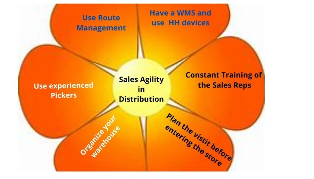 What is sales agility in your distribution operation and how to achive it