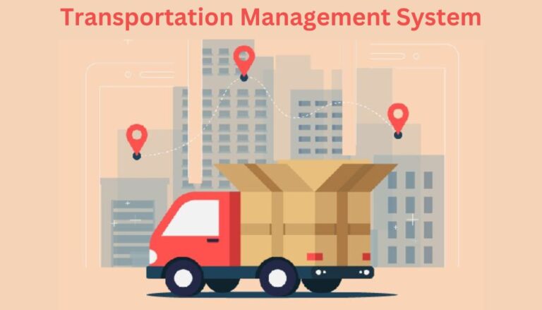 Streamlining Logistics with Transportation Management Systems